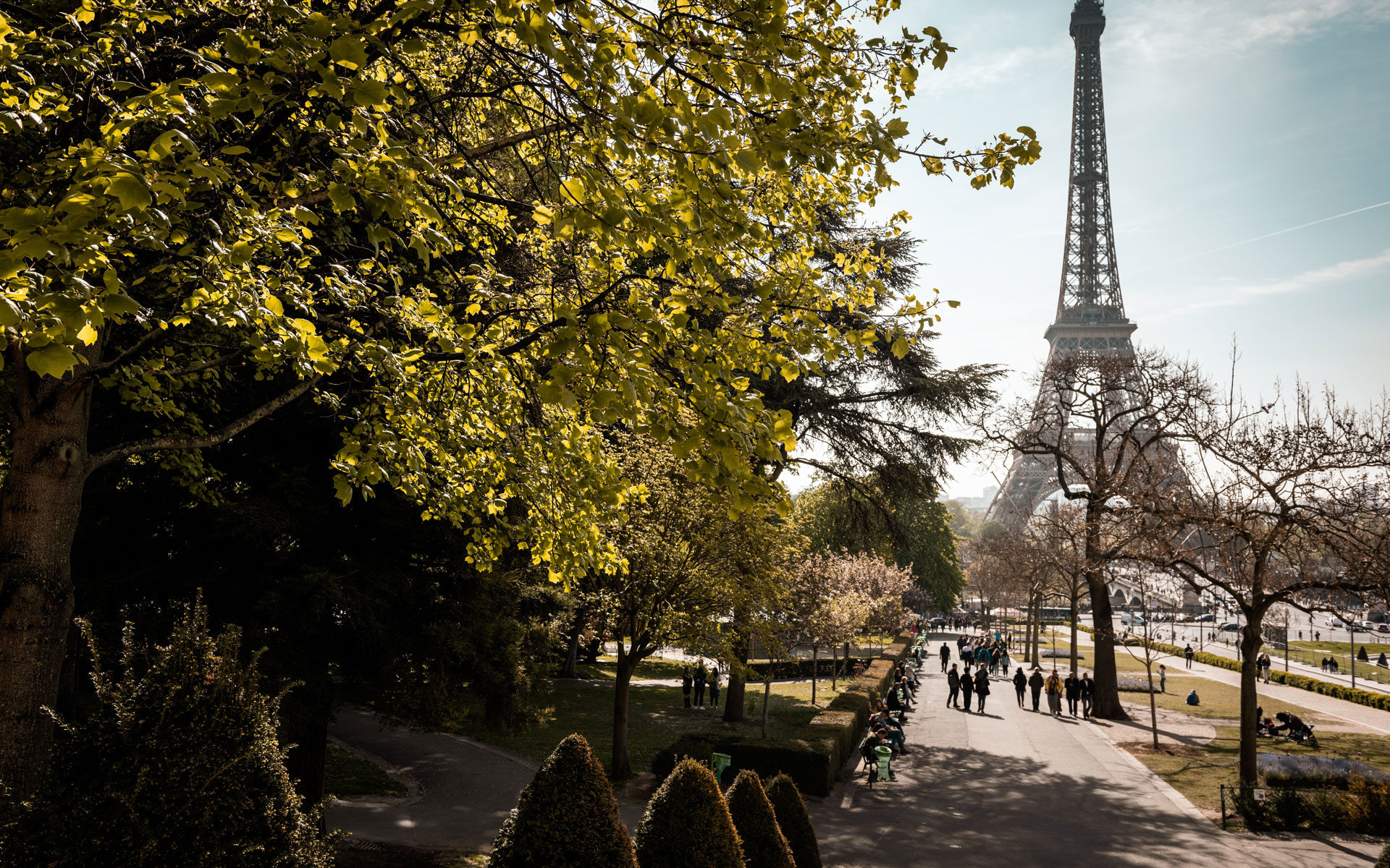 CARETTE - Garden Elysee